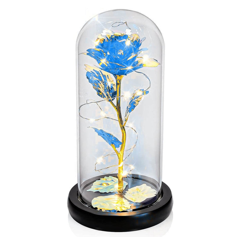 Galaxy Rose Display – Roses Truly
